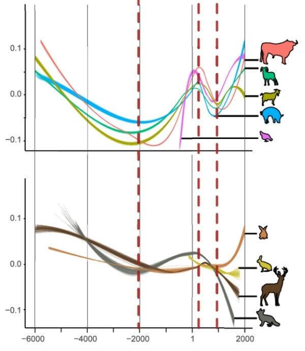 Animals Are Evolving Along Two Opposite Paths For One Major Reason ...