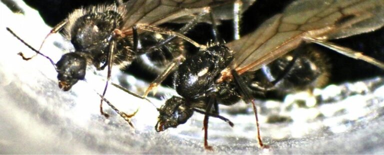 Bokep twitter sotwe colmek reserved through the service,