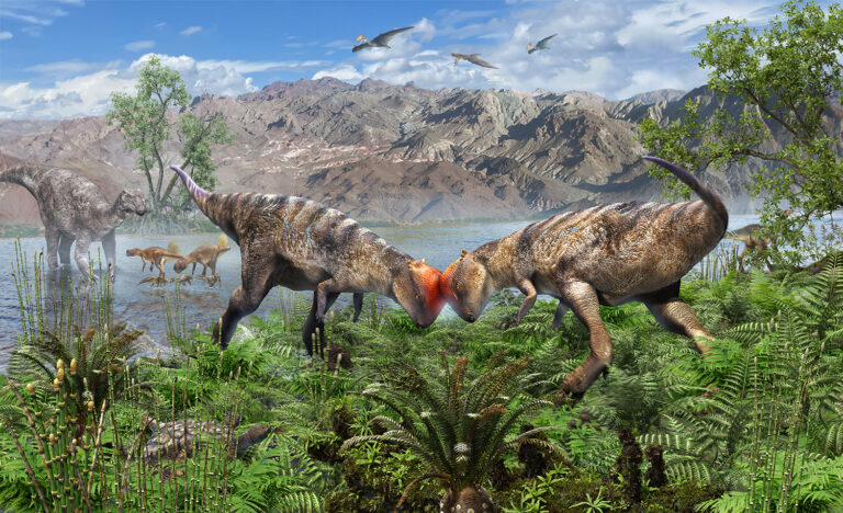 Stunningly Complete Dome-Headed Dinosaur Emerges From The Sands of ...