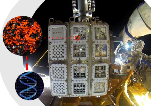 Microbe That Can Eat Mars Dust And Make Oxygen Could Be a Great Space ...