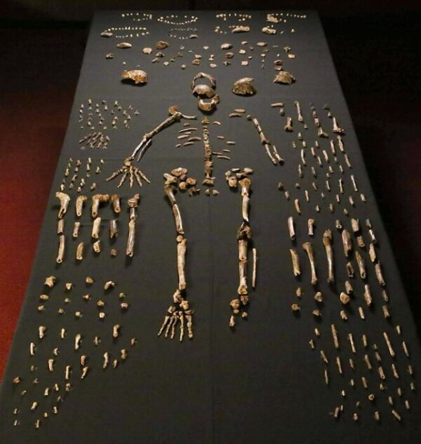 Did This Species Bury Its Dead 120,000 Years Before Us? New Claims ...