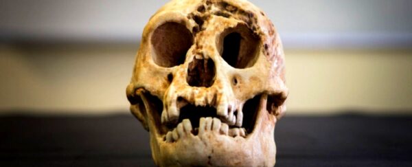 Scientists Finally Reveal Why 'Hobbits' Were So Small : ScienceAlert