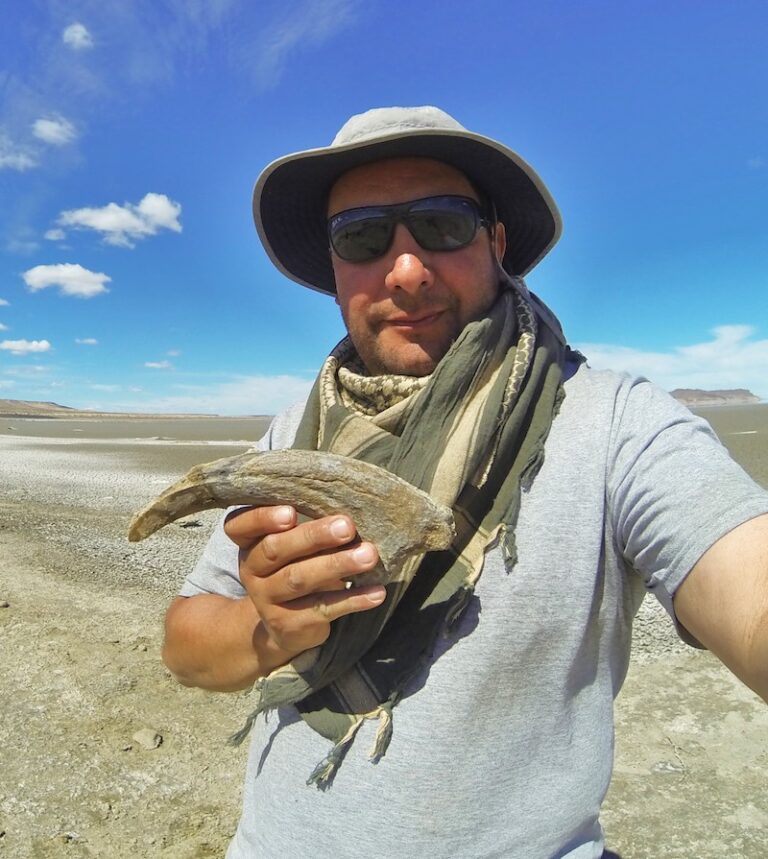 New 'Megaraptor' Species Found With Shocking Last Meal Still in Its ...