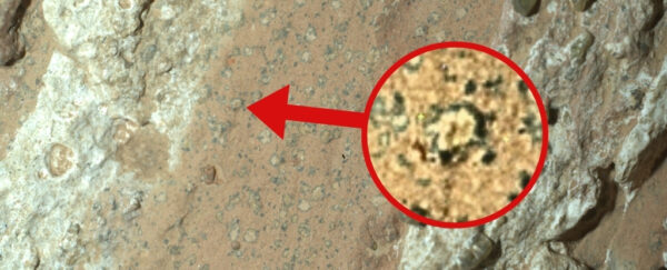 These Spots Could Signal Life on Mars – An Astrobiologist Explains Why ...