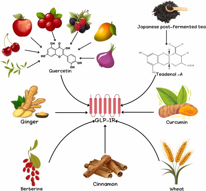 Experts Reveal a Drug-Free Way to Mimic The Effects of Ozempic ...