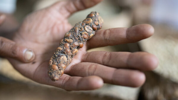 World's Most Expensive Coffee Is Chemically Different Because It's ...