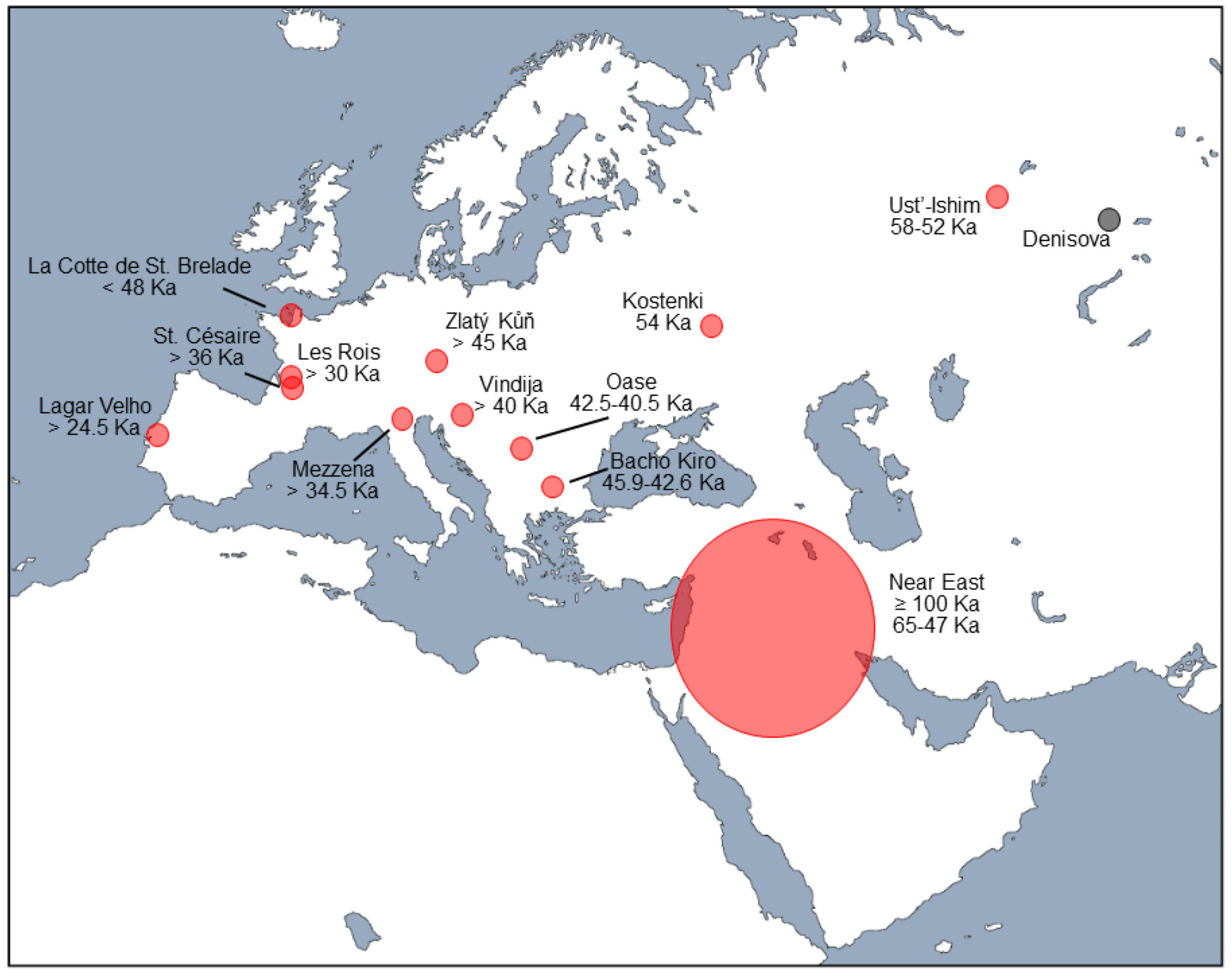 Neanderthals May Never Have Truly Gone Extinct, Study Reveals ...