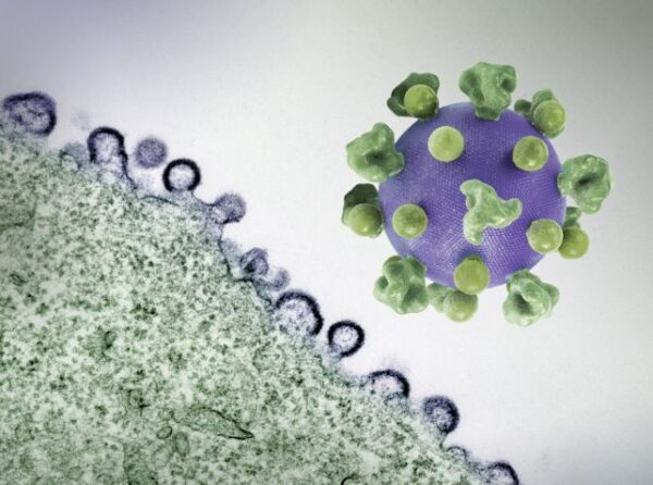 7th HIV Remission Raises Hope of Long-Lasting Treatment For More People ...