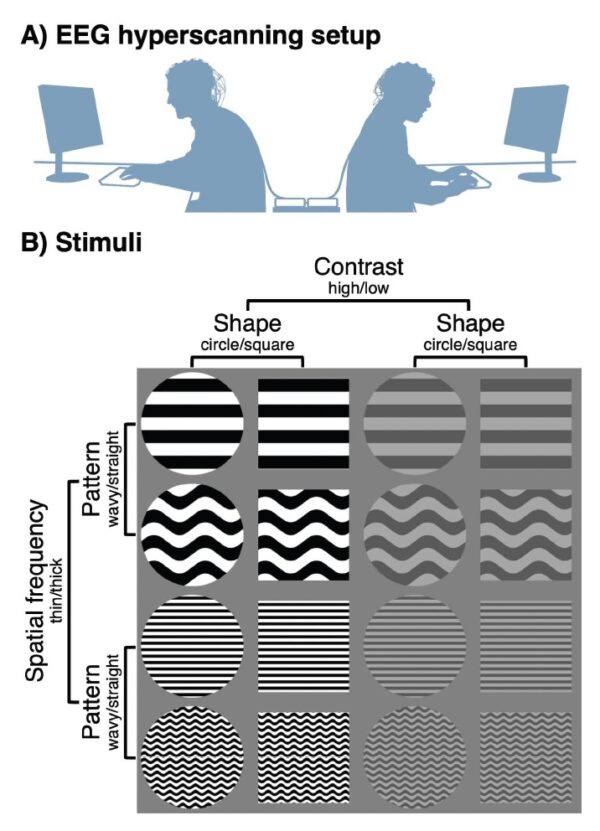 Our Brains Really Do 'Sync Up' When We Collaborate, Study Reveals ...