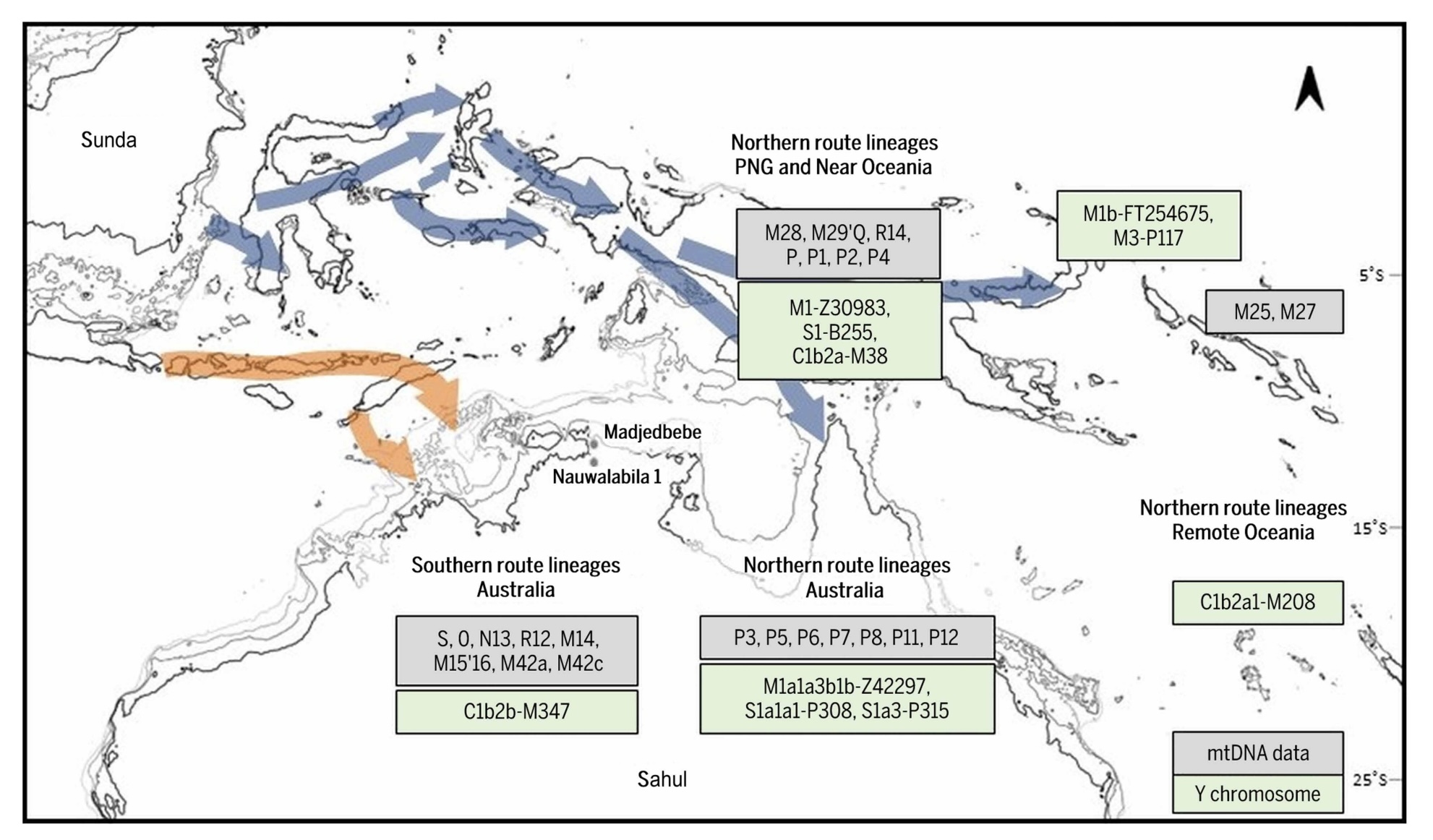 DNA Analysis Reveals Two Routes Ancient Humans Used to Reach Australia ...