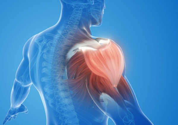 Working Out While Losing Weight Keeps Muscles 'Young', Study Finds ...