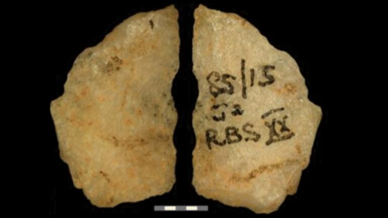 Earliest Direct Evidence of Poisoned Arrows Revealed in 60,000-Year-Old ...