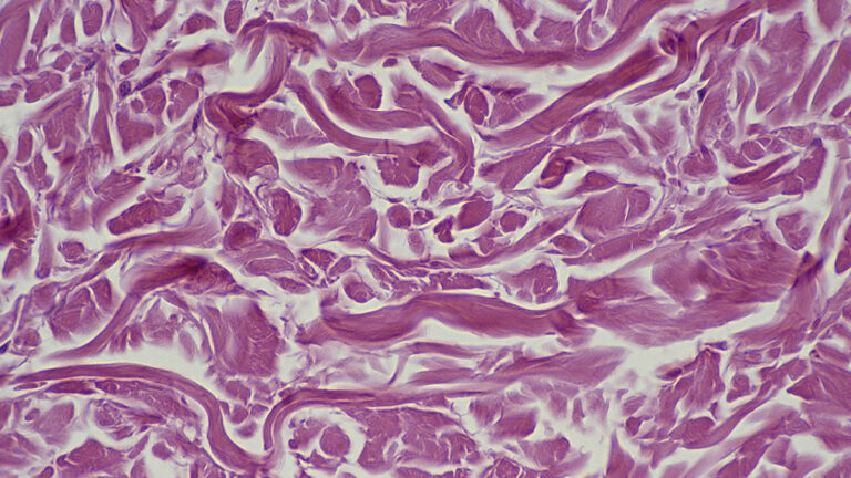 Scientists May Have Found a Blueprint to Revive Old Cells : ScienceAlert