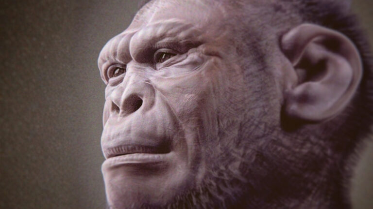 2-Million-Year-Old Fossil May Be The Oldest Example of an Early Human ...