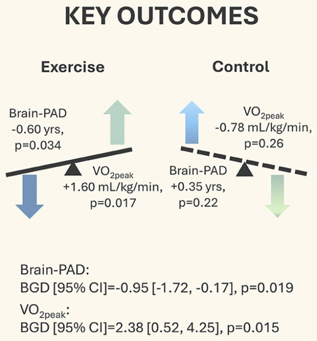 Exercise Can Actually Make Your Brain Look Younger, MRI Scans Reveal ...