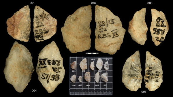 Earliest Direct Evidence of Poisoned Arrows Revealed in 60,000-Year-Old ...