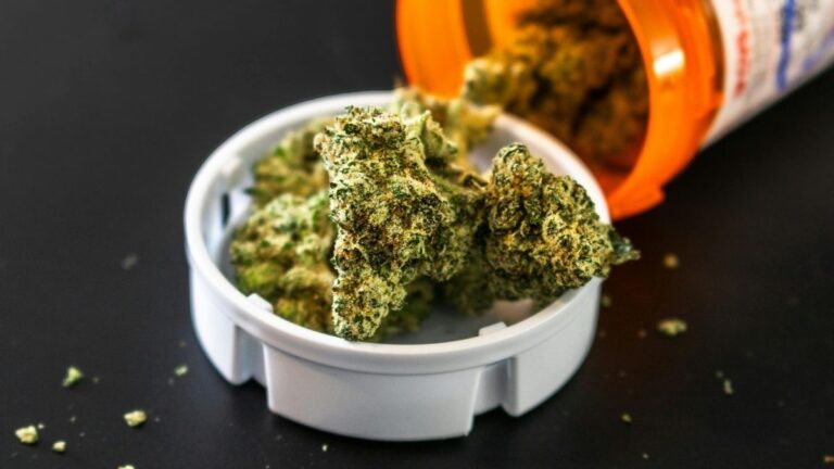 This Week in Science: A Cannabis Standard Measure, Bizarre Lifeforms ...