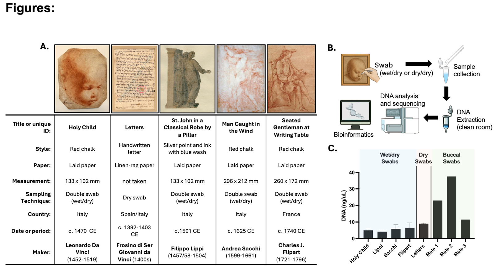 Da Vinci's DNA Is Potentially in The Hands of Scientists : ScienceAlert