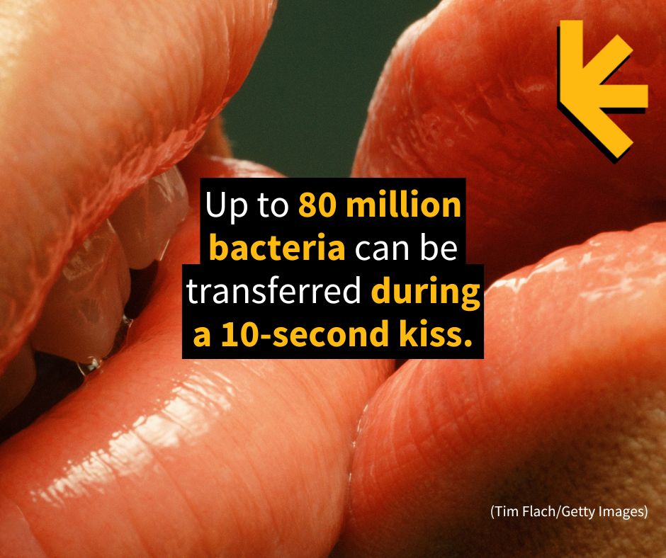 Valentine's Day: Exchanging Saliva May Help You Fall in Love : ScienceAlert