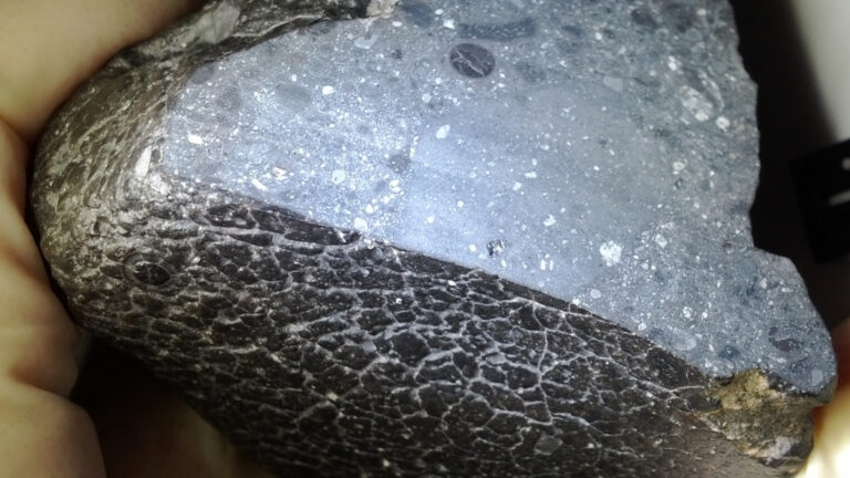 Scientists Scanned a Black Rock From Mars And Found Something ...