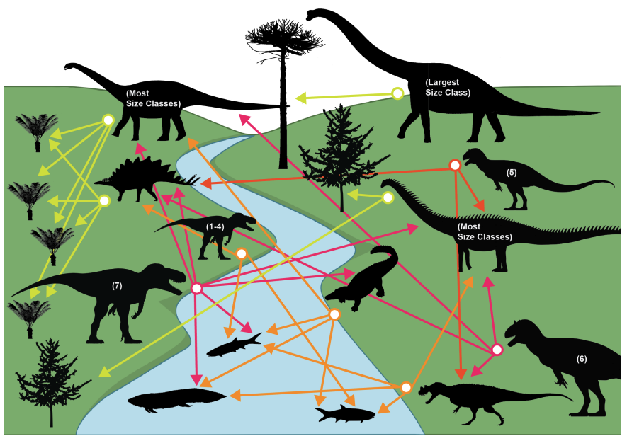Baby Giants Were The Fast Food of The Jurassic, Study Reveals ...