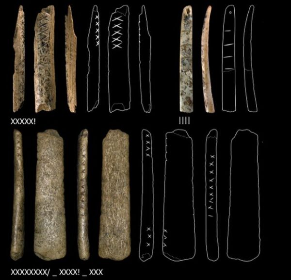 These 40,000-Year-Old Marks May Be a Precursor to Writing : ScienceAlert