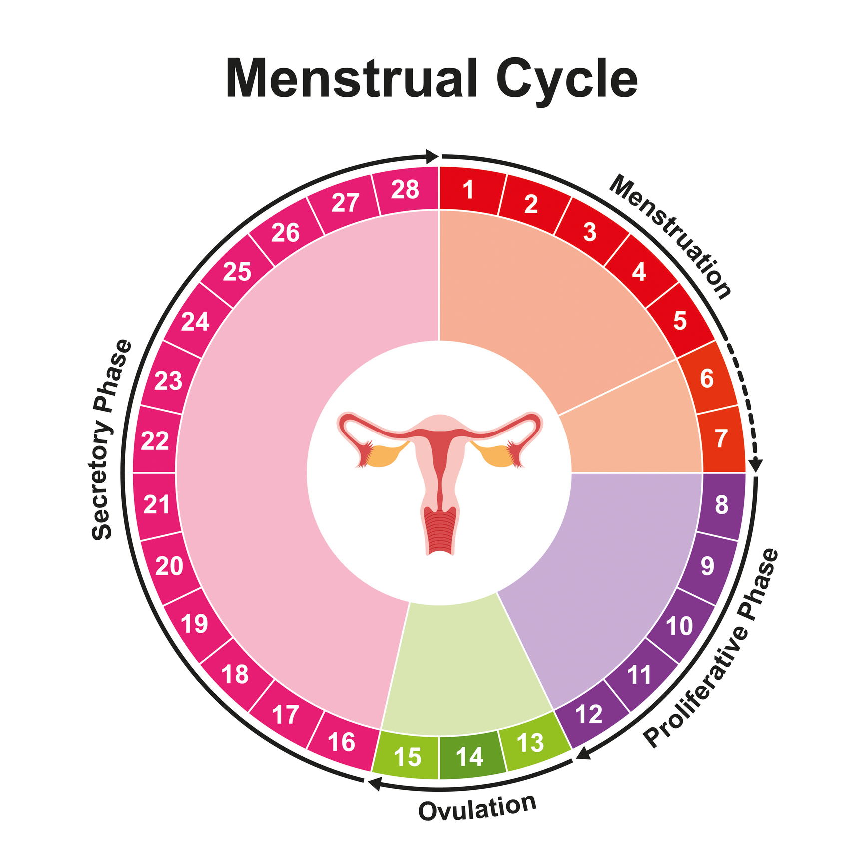 International Women's Day: The Evolutionary Mysteries of The Female ...