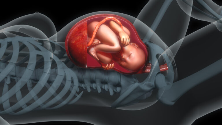 International Women's Day: The Evolutionary Mysteries of The Female ...