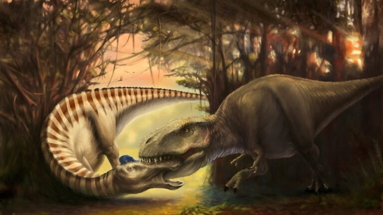 Scientists Found a T. Rex Tooth Embedded in Another Dinosaur's Skull ...