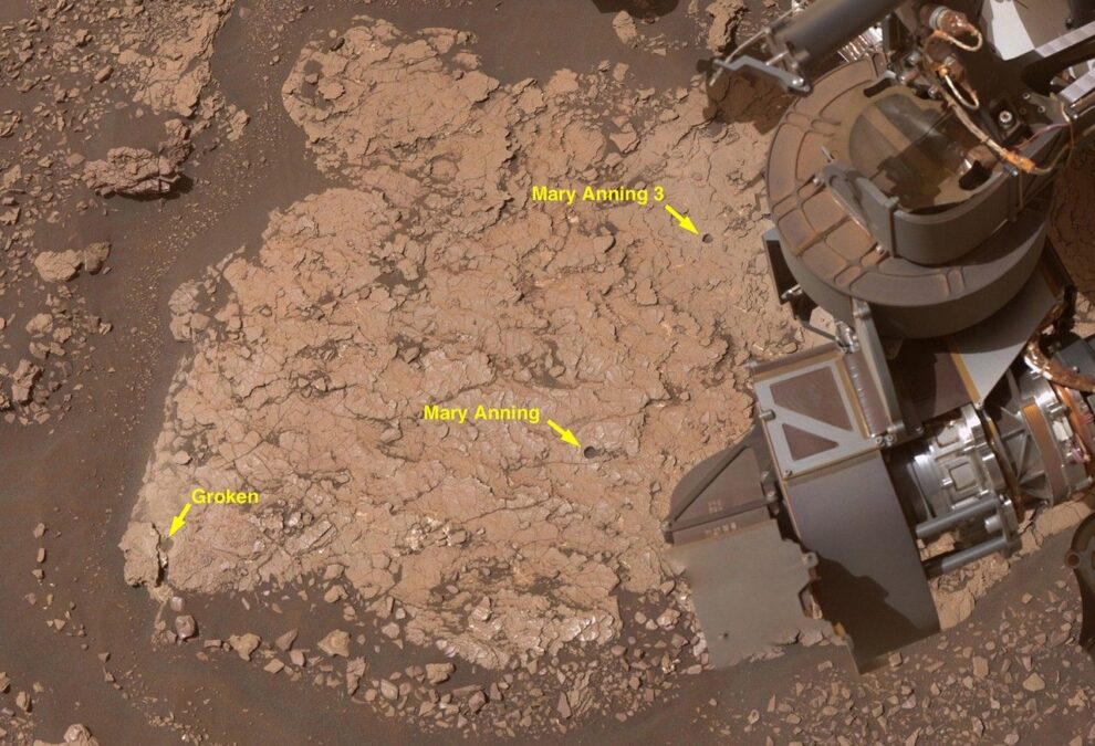 Curiosity Finds New Building Blocks of Life on Mars in Landmark ...