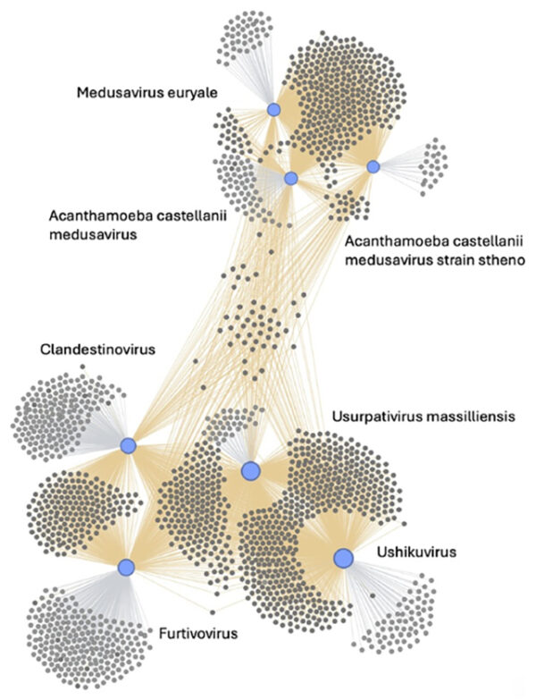 Scientists Discover New Giant Virus That Replicates in a Totally Unique ...