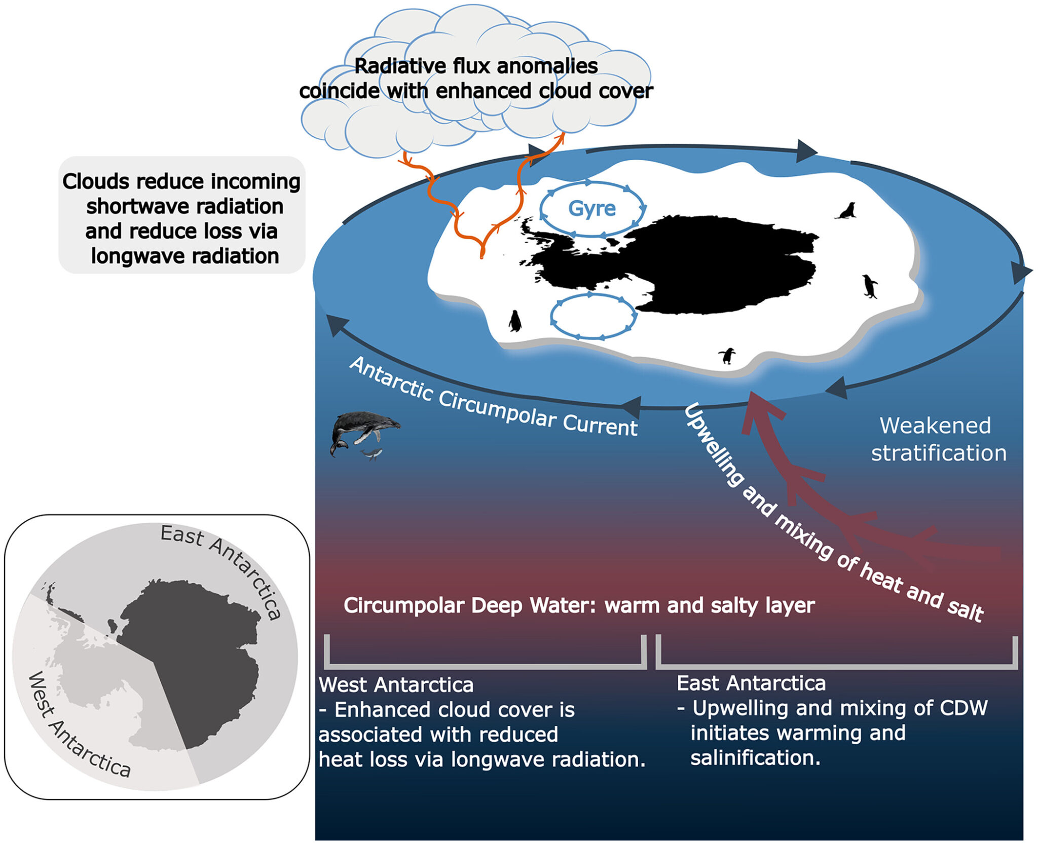 Antarctic Sea Ice Enters 'Shock' Decline as Ocean Heat Breaks Through ...