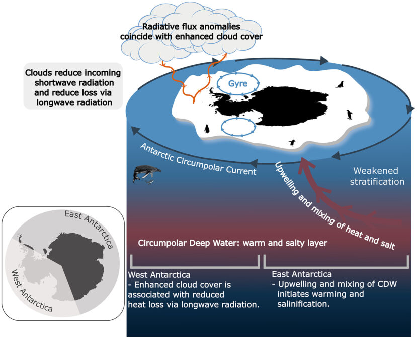 Antarctic Sea Ice Enters 'Shock' Decline as Ocean Heat Breaks Through ...