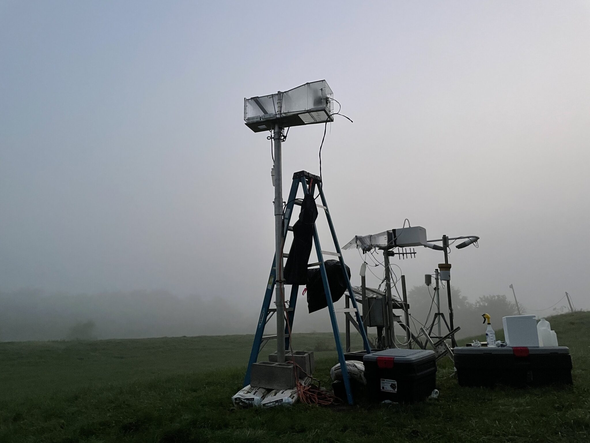 Fog Is Teeming With Life, And It May Be Doing Us a Surprising Favor ...