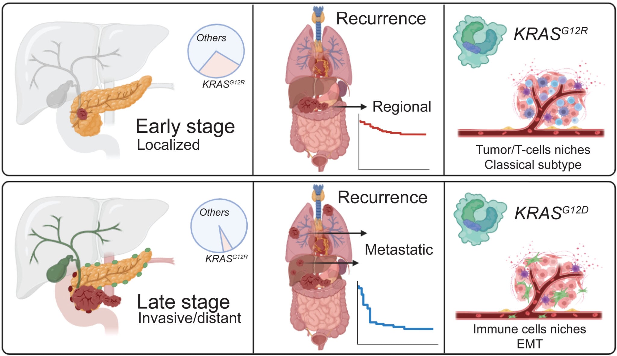 A Breakthrough Drug Just Achieved The 'Impossible' For Pancreatic ...