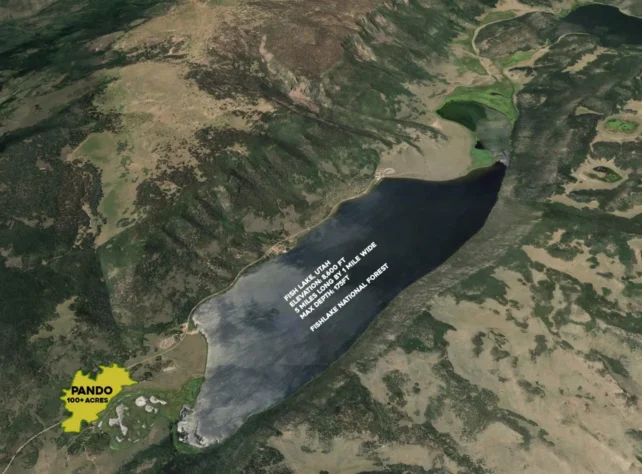 Haunting Sounds of The World's Largest Living Thing Recorded : ScienceAlert