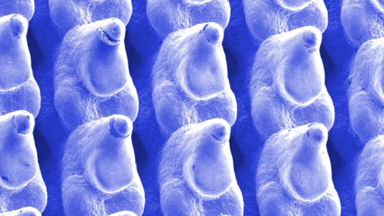 Engineers Found a Genius Way to Slash Data Center Energy Use : ScienceAlert