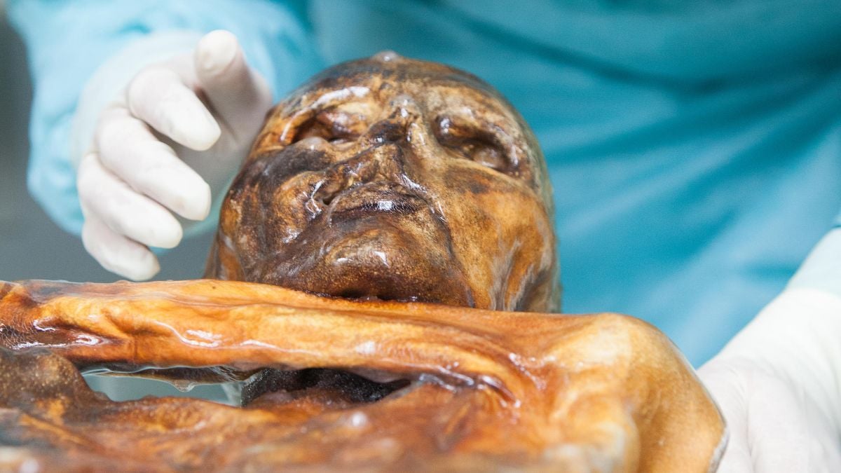 Scientists Find Signs of Active Life in Ötzi The Iceman : ScienceAlert