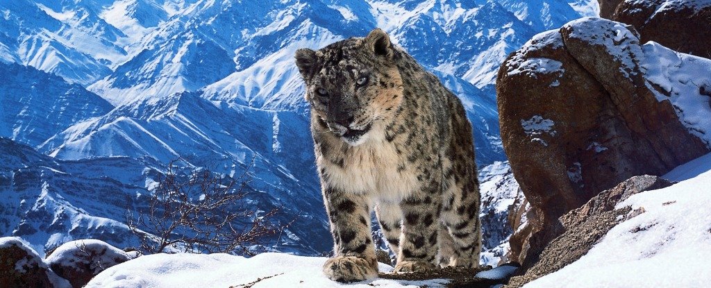 Let These Videos Remind You Just How Amazing The World Can Be ...