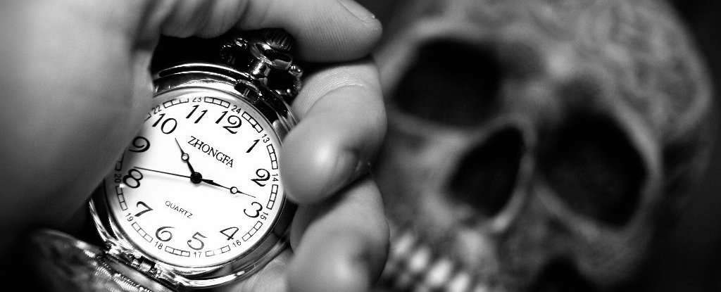 These Cell 'Clocks' Can Indicate The Approach of Cancer And Impending ...