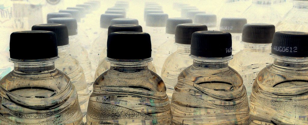 Common Alternative to BPA Plastic Is Equally Harmful in Animal Testing ...