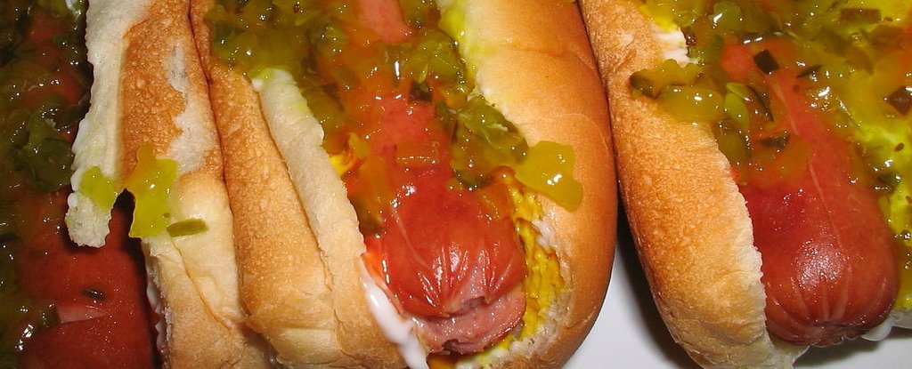 Vegetarian Hot Dogs Found to Contain Traces of Meat And Human DNA ...