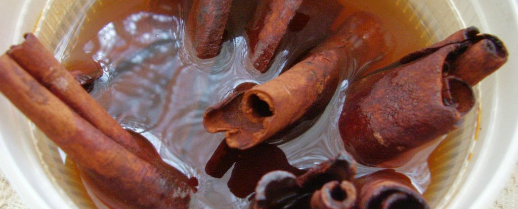 Early Research Suggests Eating Cinnamon Might Make You Learn More ...
