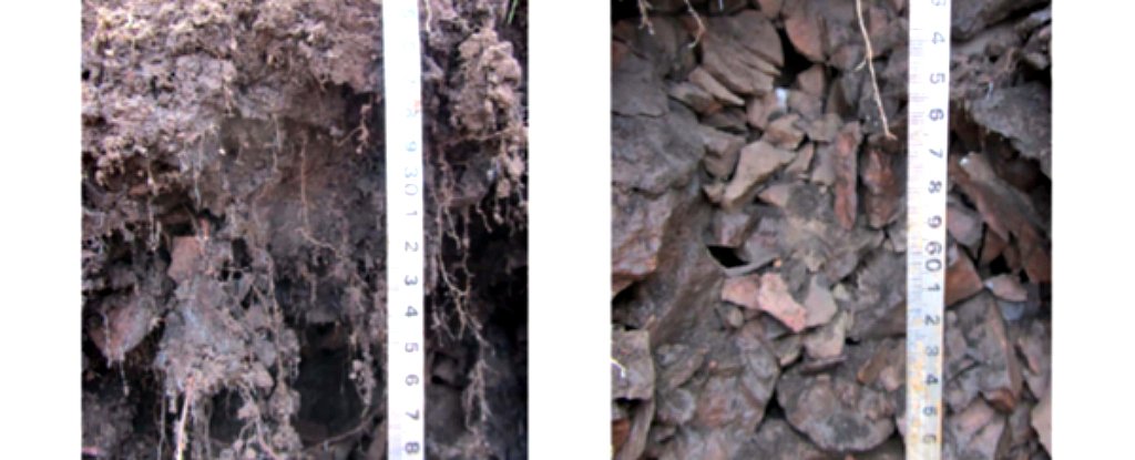 A Weird Patch of "Cold Earth" in China Stays Frozen Through Blazing ...