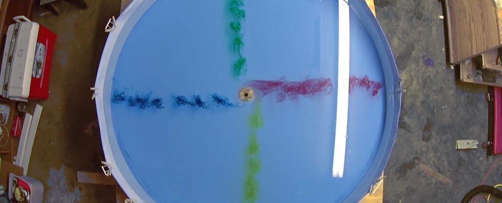 WATCH: The Truth About Toilet Swirls : ScienceAlert