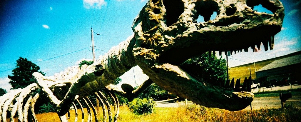 The Top Six Dinosaur Myths, Debunked : ScienceAlert