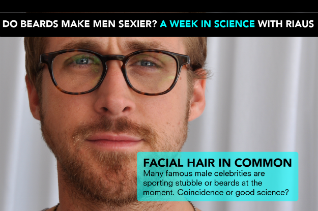 Men With Beards Sexy Meme