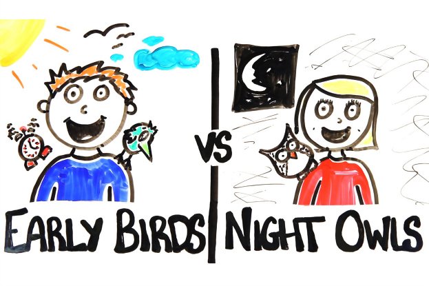 WATCH: Early Birds vs Night Owls : ScienceAlert