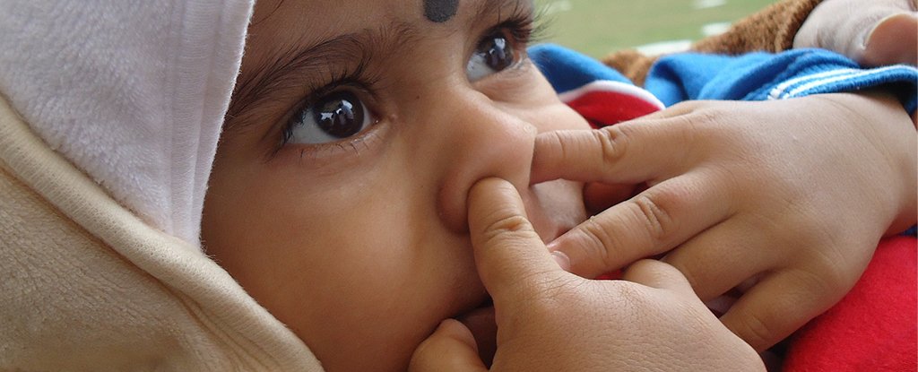 Researchers Say You Can Blame Climate For The Shape of Your Nose ...