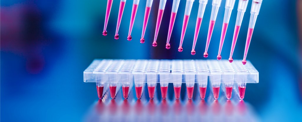 China's About to Rewrite Human DNA Using a Revolutionary Tool For The ...